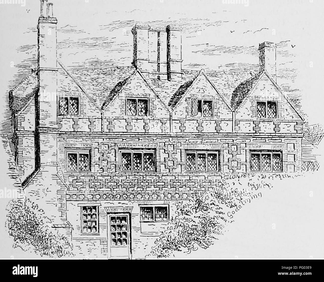 Smallfield hi-res stock photography and images - Alamy