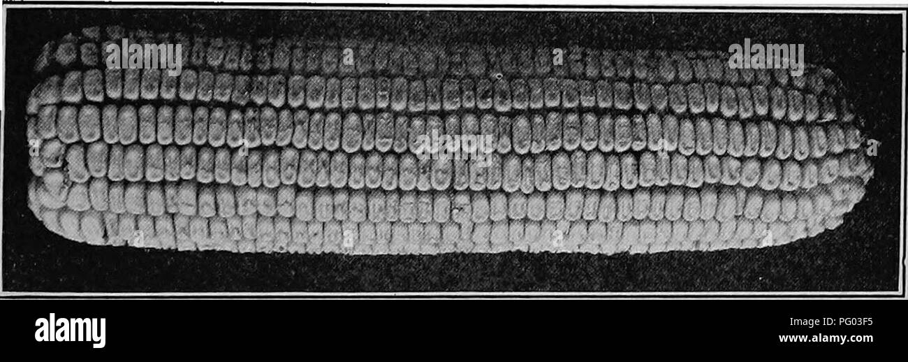 This work discusses the origin, classification, and varieties of field ...