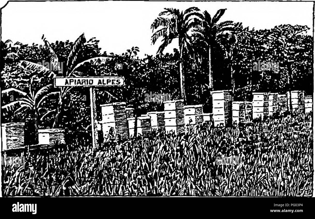 Loss of colonies hi-res stock photography and images - Alamy