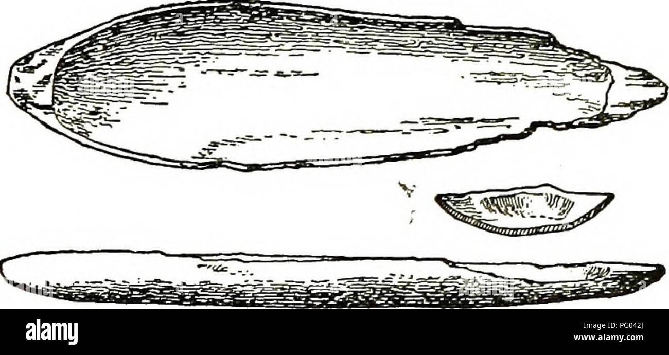 This image shows a wooden dug-out canoe discovered in Irlam, found at ...