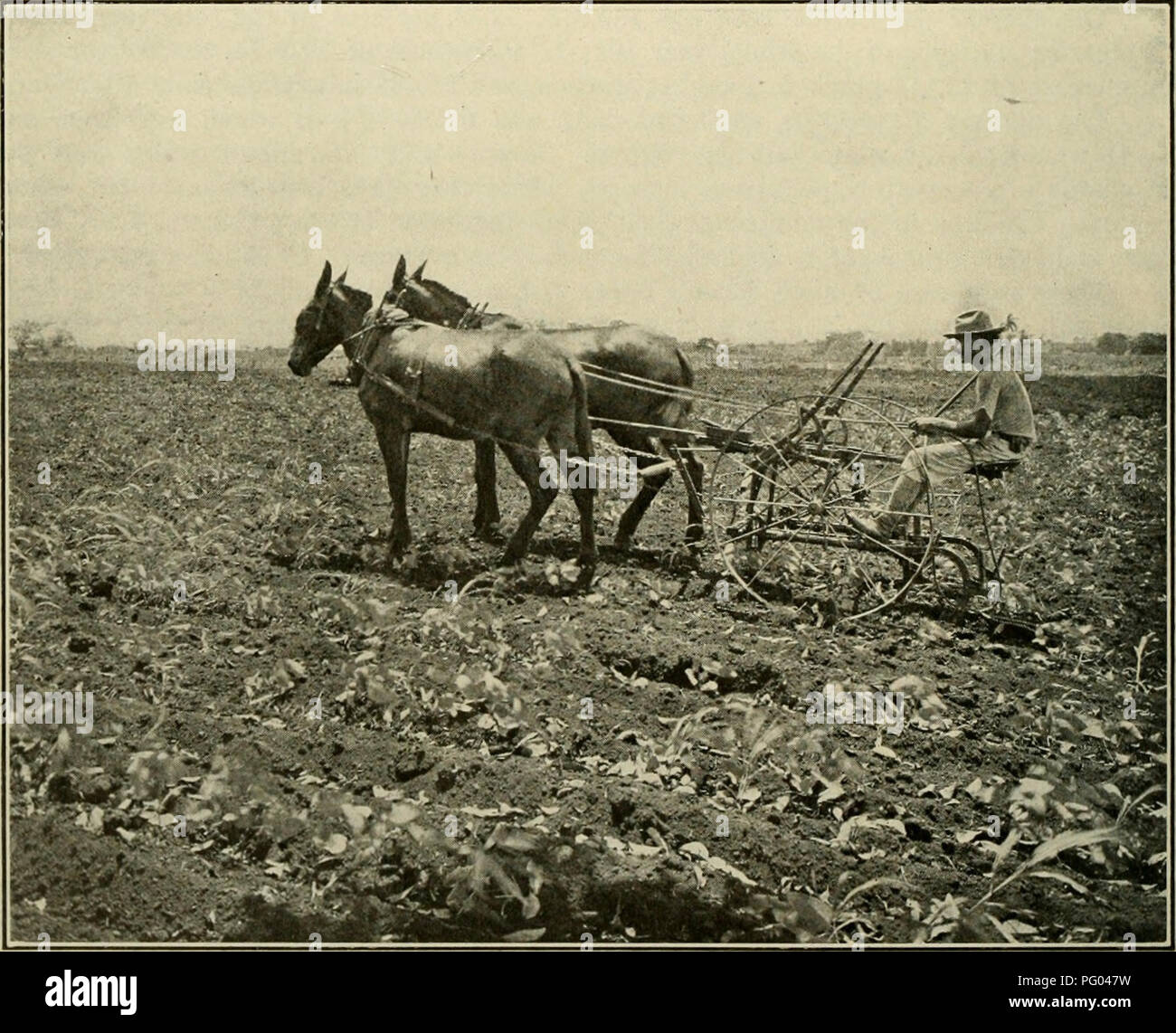 This illustration contrasts traditional and modern farming methods ...