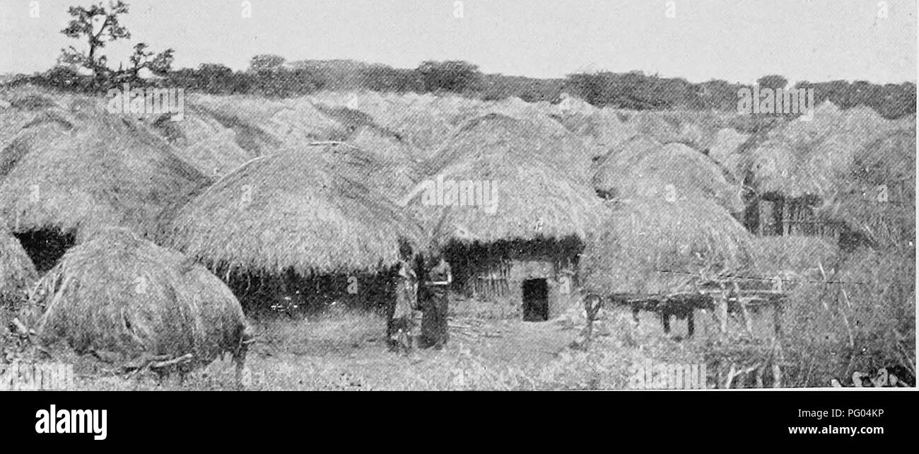 . The Uganda protectorate; an attempt to give some description of the ...