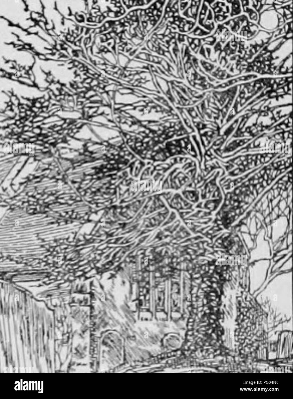 Dorothy margaret Black and White Stock Photos & Images - Alamy