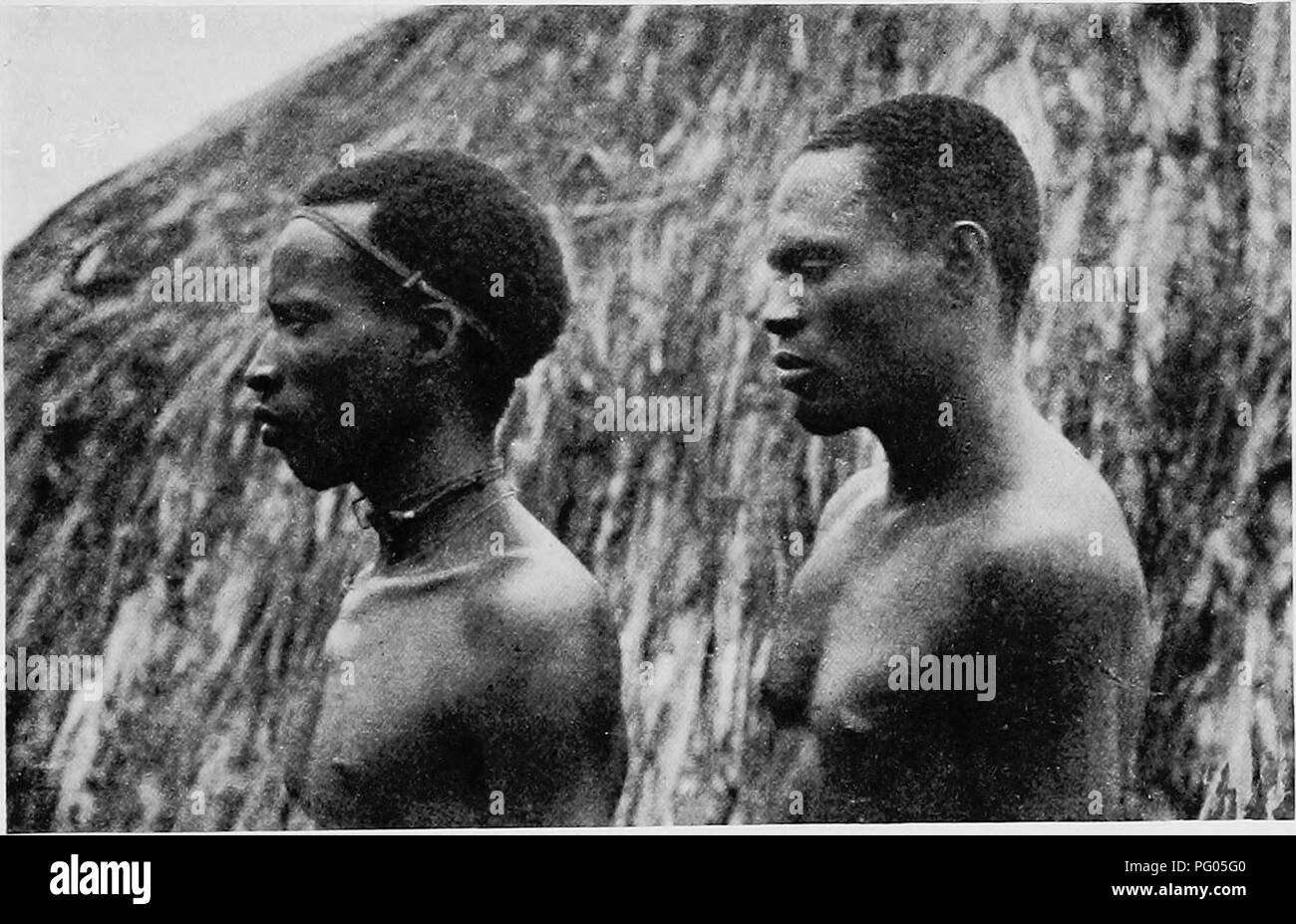 Negroid High Resolution Stock Photography and Images - Alamy