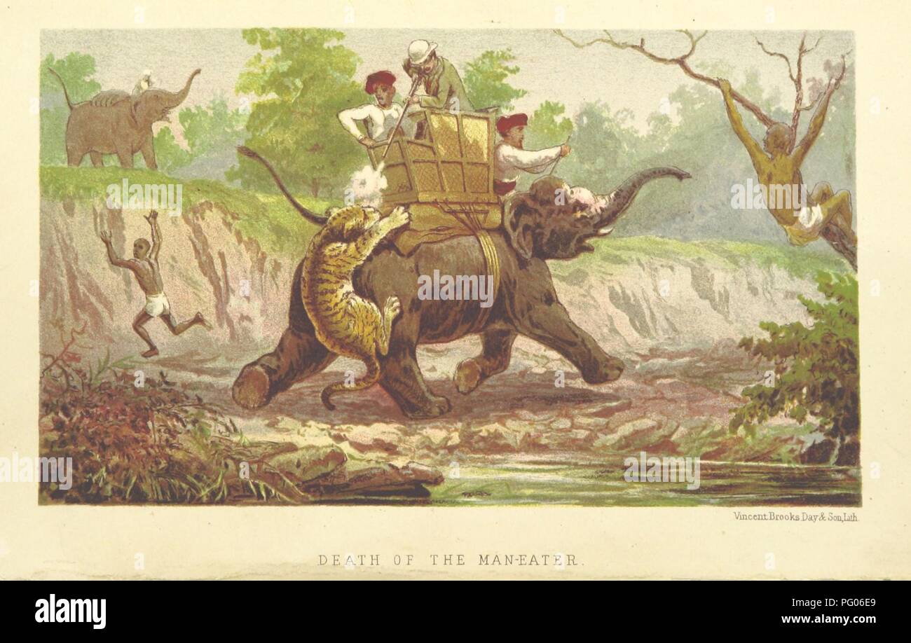 Image from page 6 of 'The Highlands of Central India notes on their ...