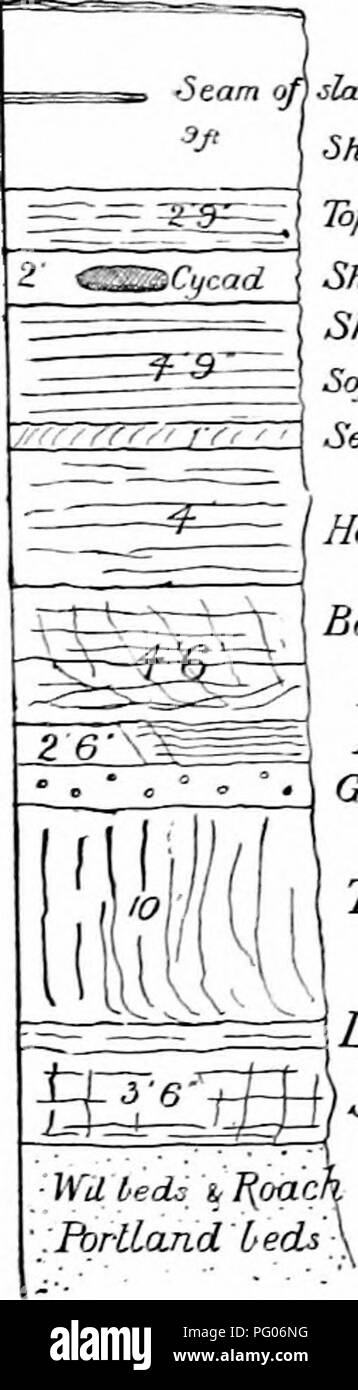 Shaley hi-res stock photography and images - Alamy