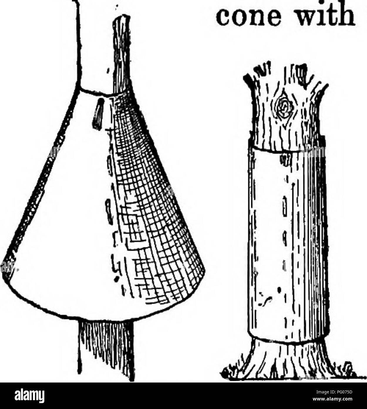 Perfect cone shape hi-res stock photography and images - Alamy