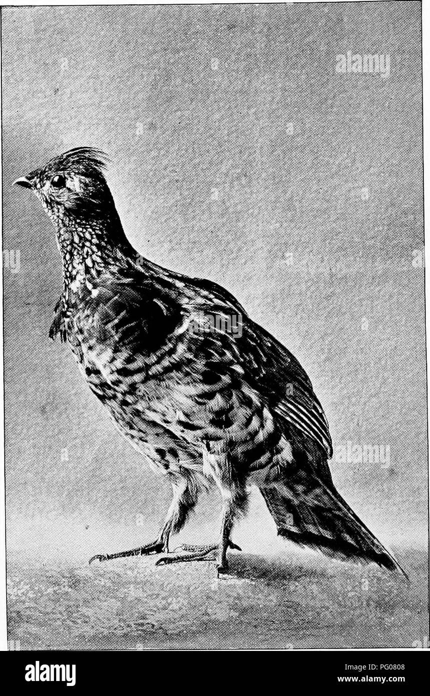 This book by William L. Baily and Edward D. Cope provides a ...