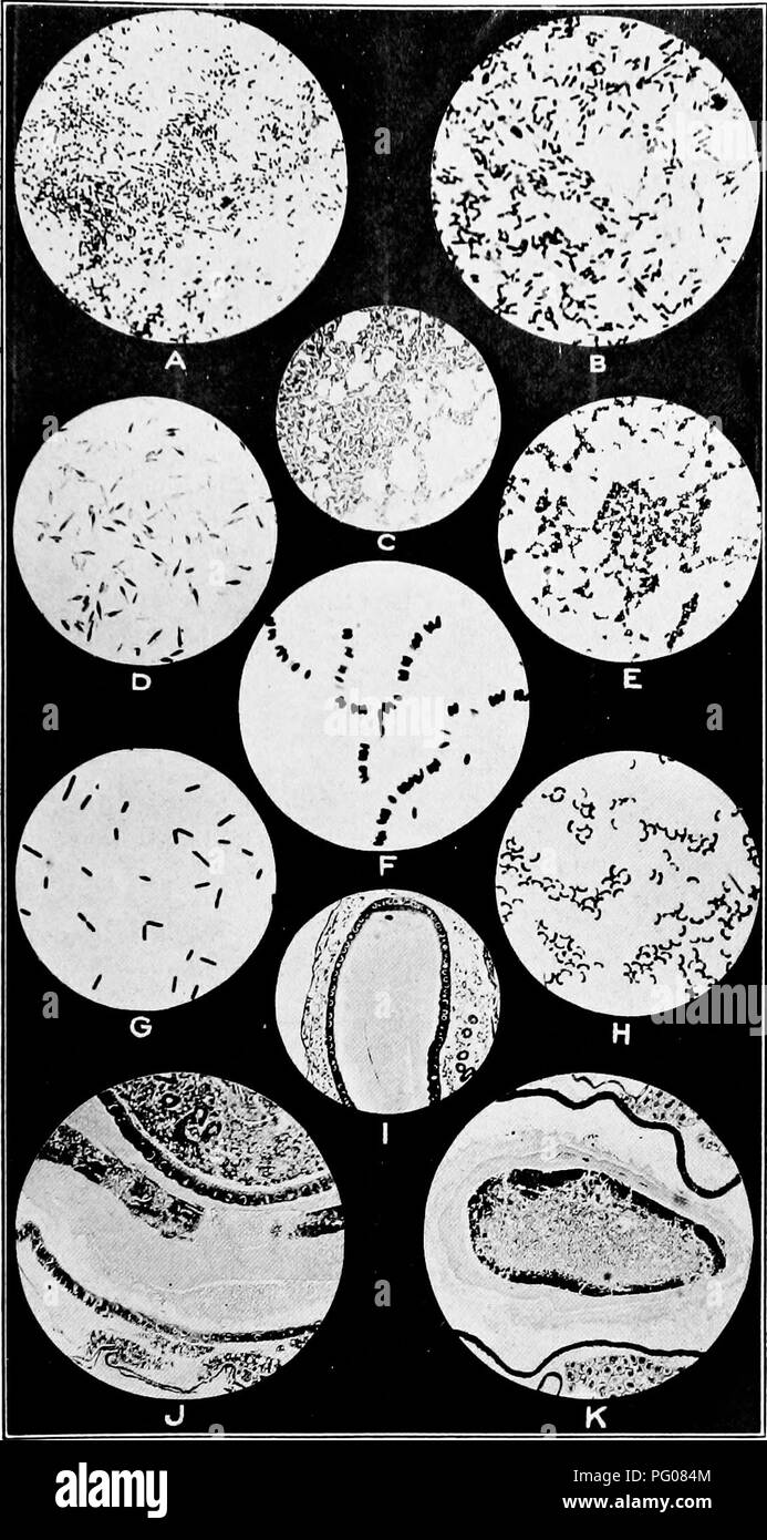 An illustration from a U.S. Department of Agriculture publication ...