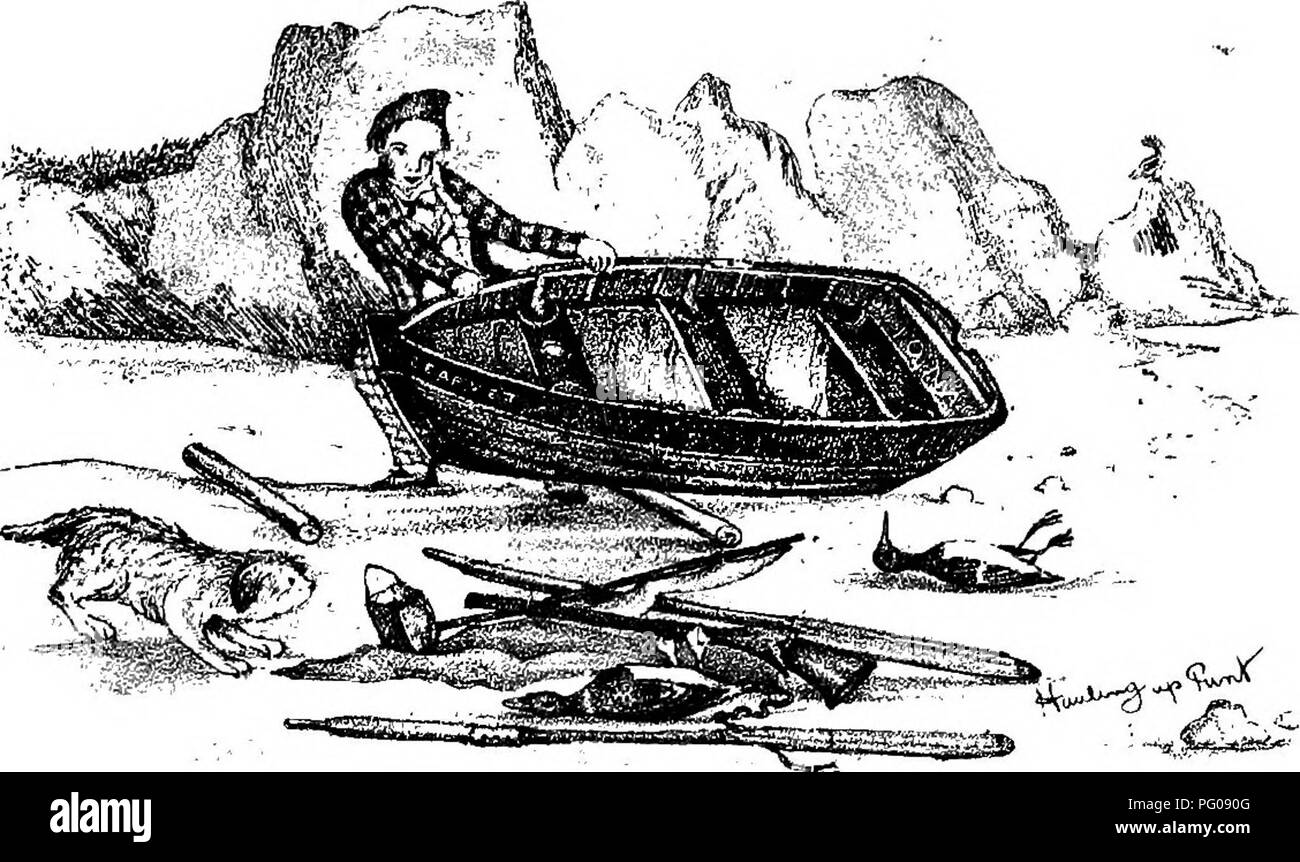 This work details the bird species found on the Scottish islands of ...