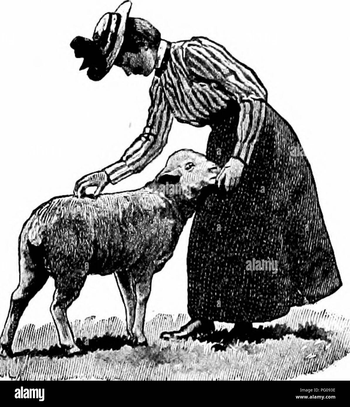 . Stories of humble friends . Animal behavior. 176 ture he had been a ...