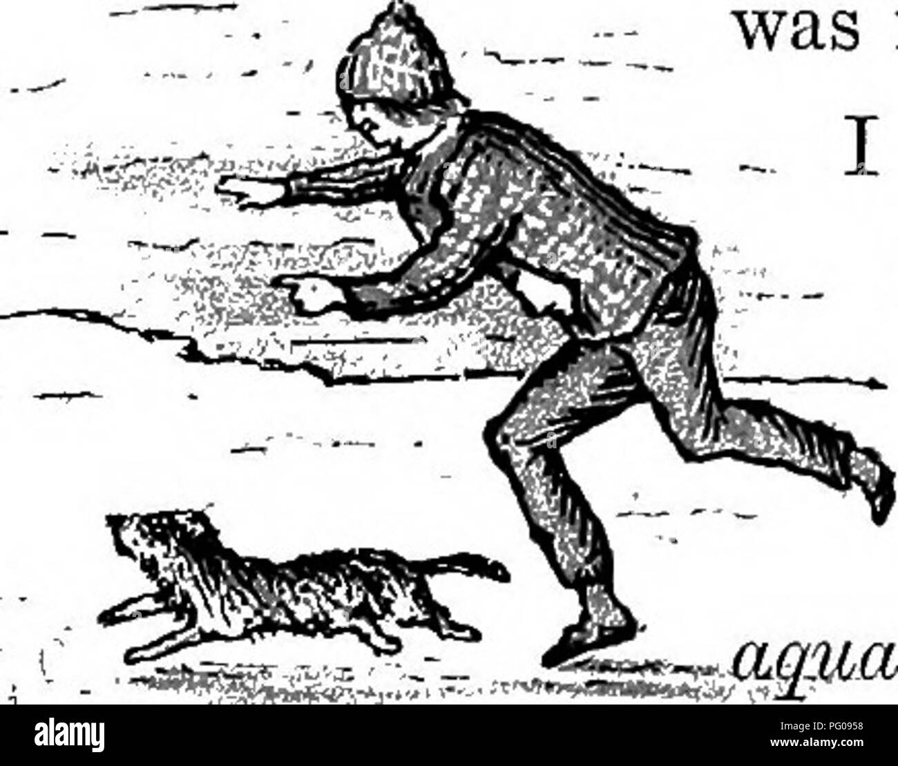 Cowering dog hi-res stock photography and images - Alamy