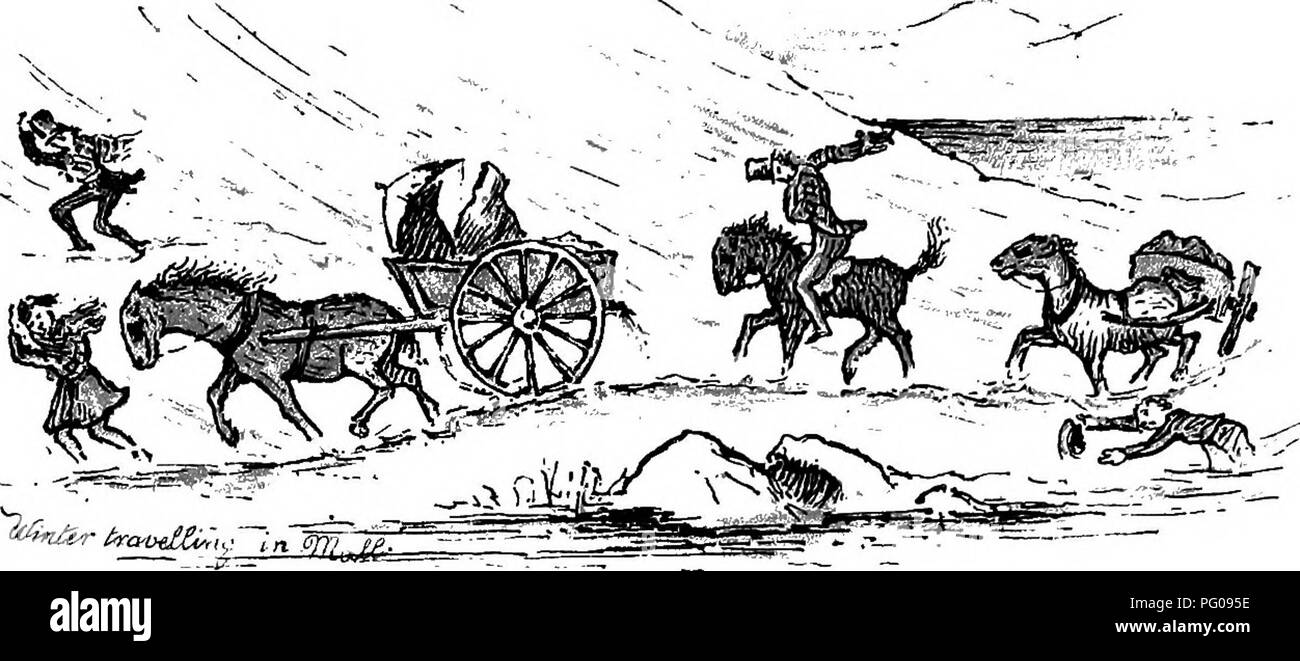 Cowering dog hi-res stock photography and images - Alamy