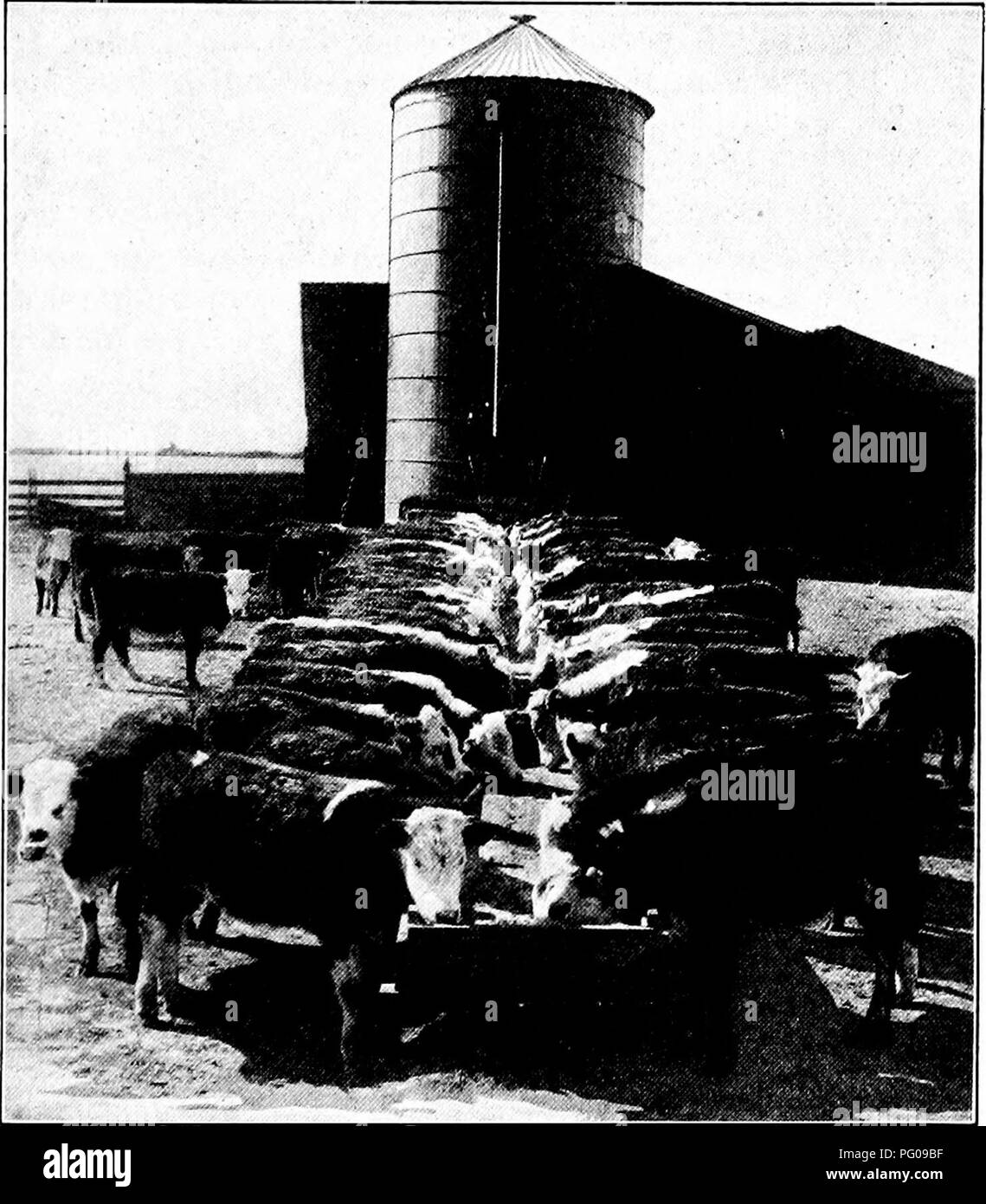 Silage quality Black and White Stock Photos & Images - Alamy