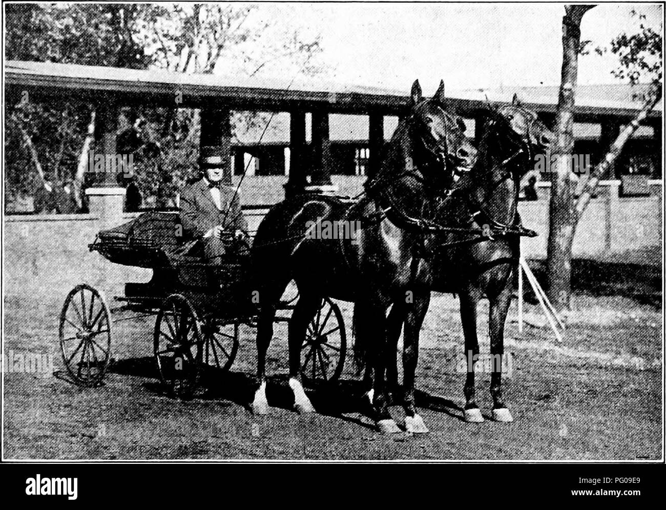 Saving the animals Black and White Stock Photos & Images - Alamy