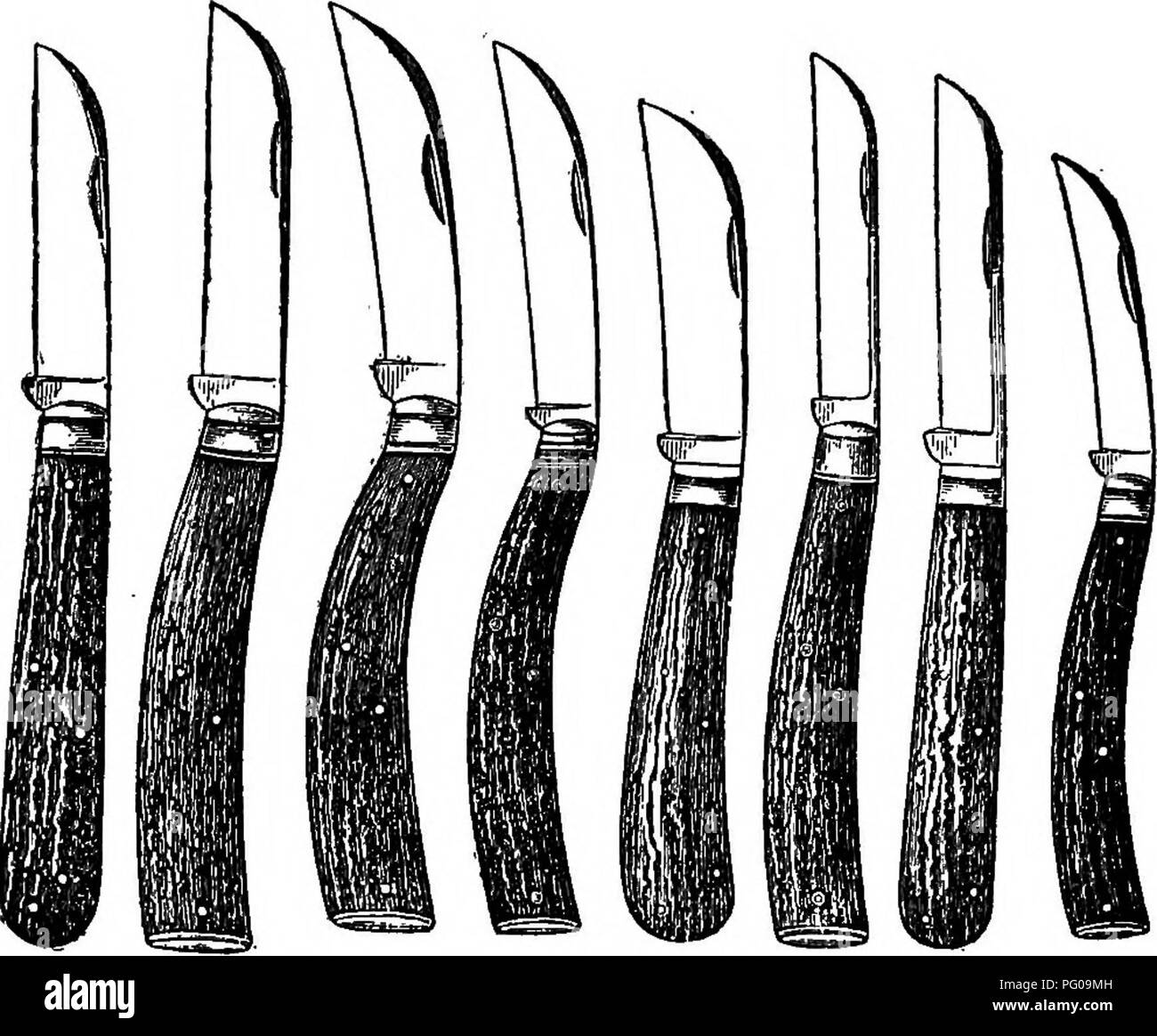 Pruning knives hi-res stock photography and images - Alamy