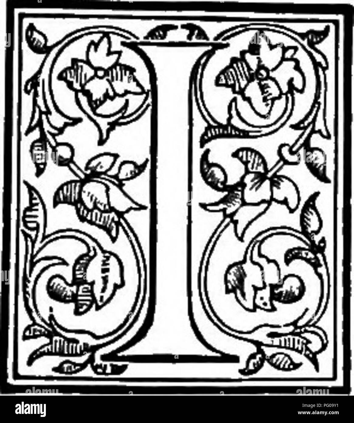 . The book of choice ferns : for the garden, conservatory, and stove ...
