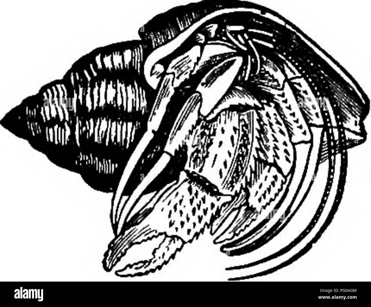 Chloroform like Black and White Stock Photos & Images - Alamy