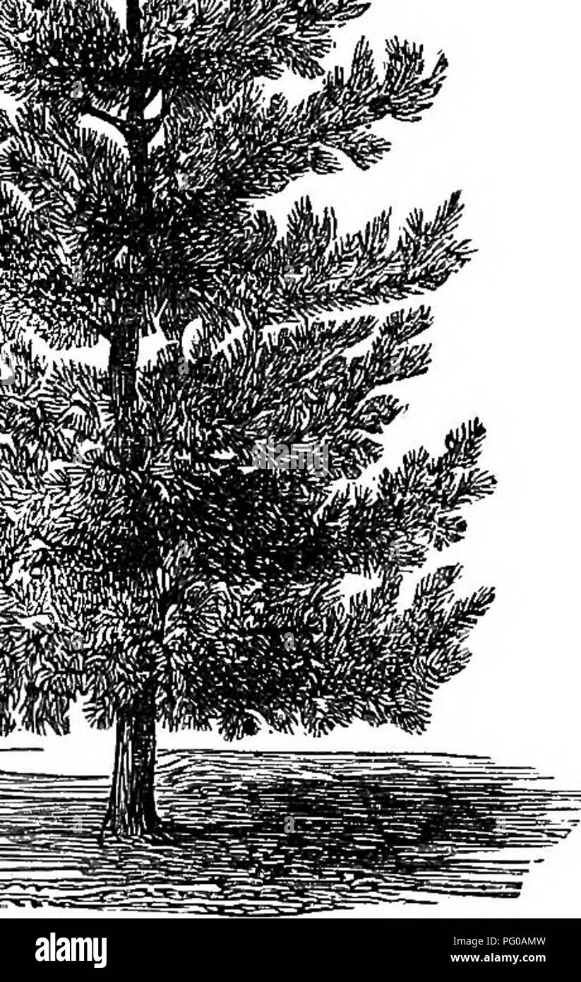 Airy openness hi-res stock photography and images - Alamy