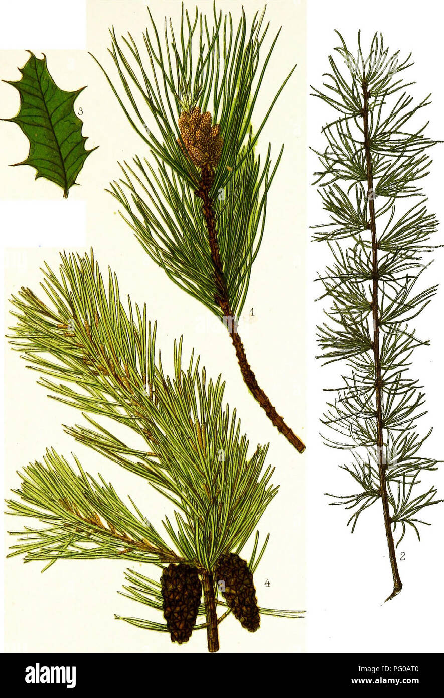 George Searle High Resolution Stock Photography and Images - Alamy