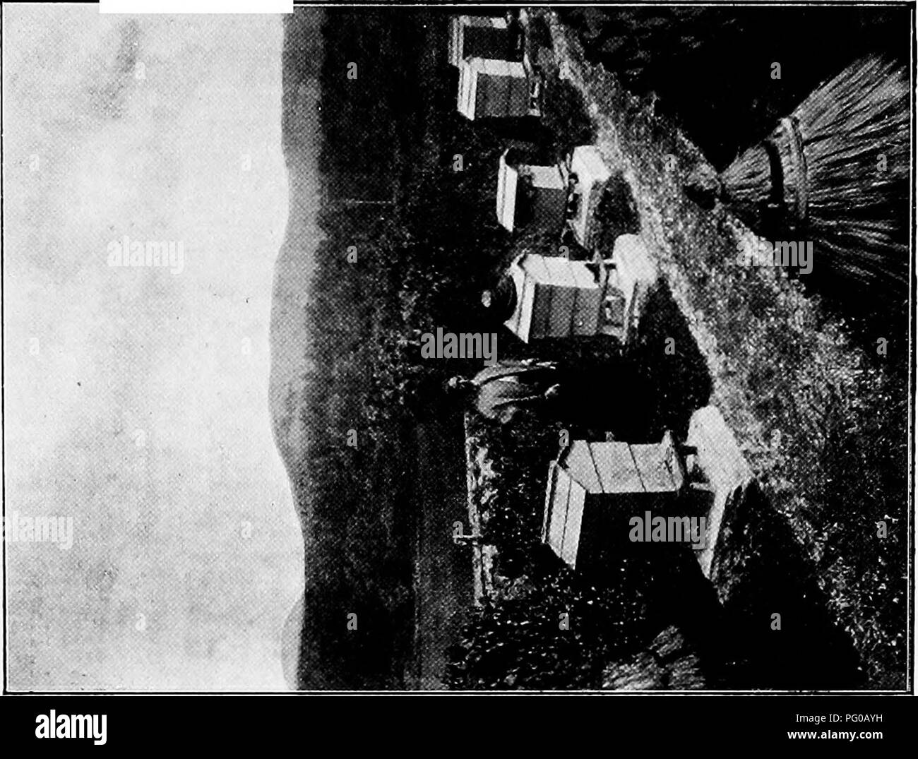 This instructional guide provides practical advice for Irish beekeepers ...