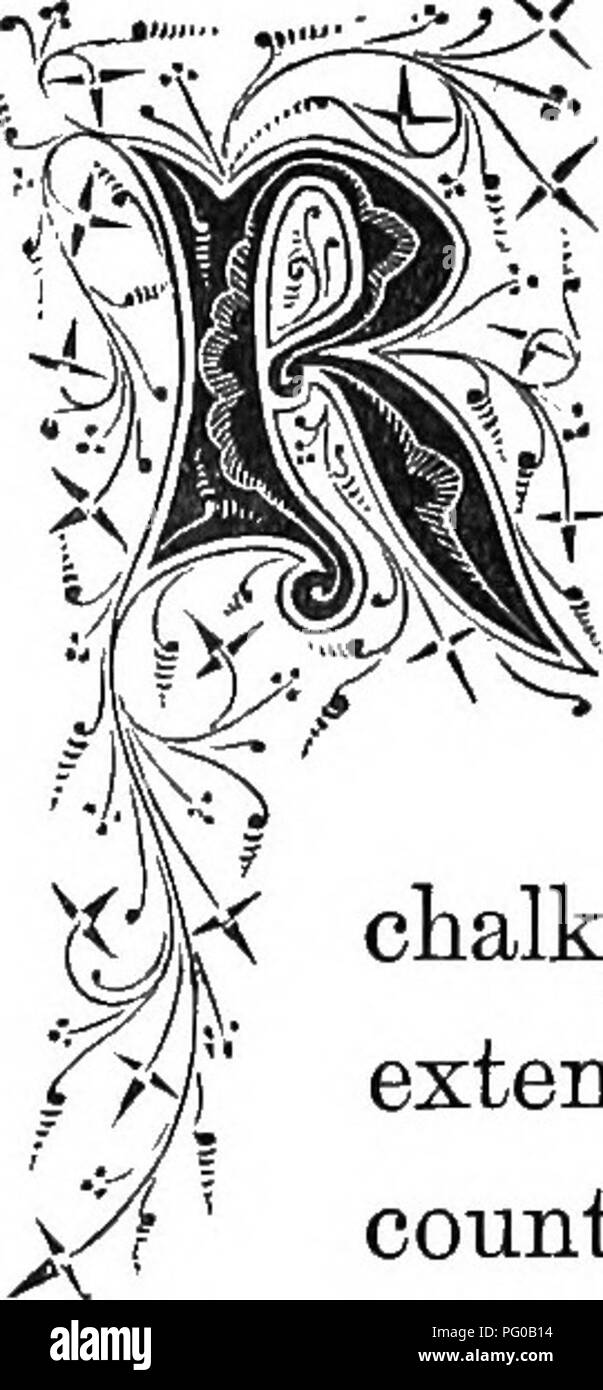 This work discusses various tree species, focusing on the Walnut ...