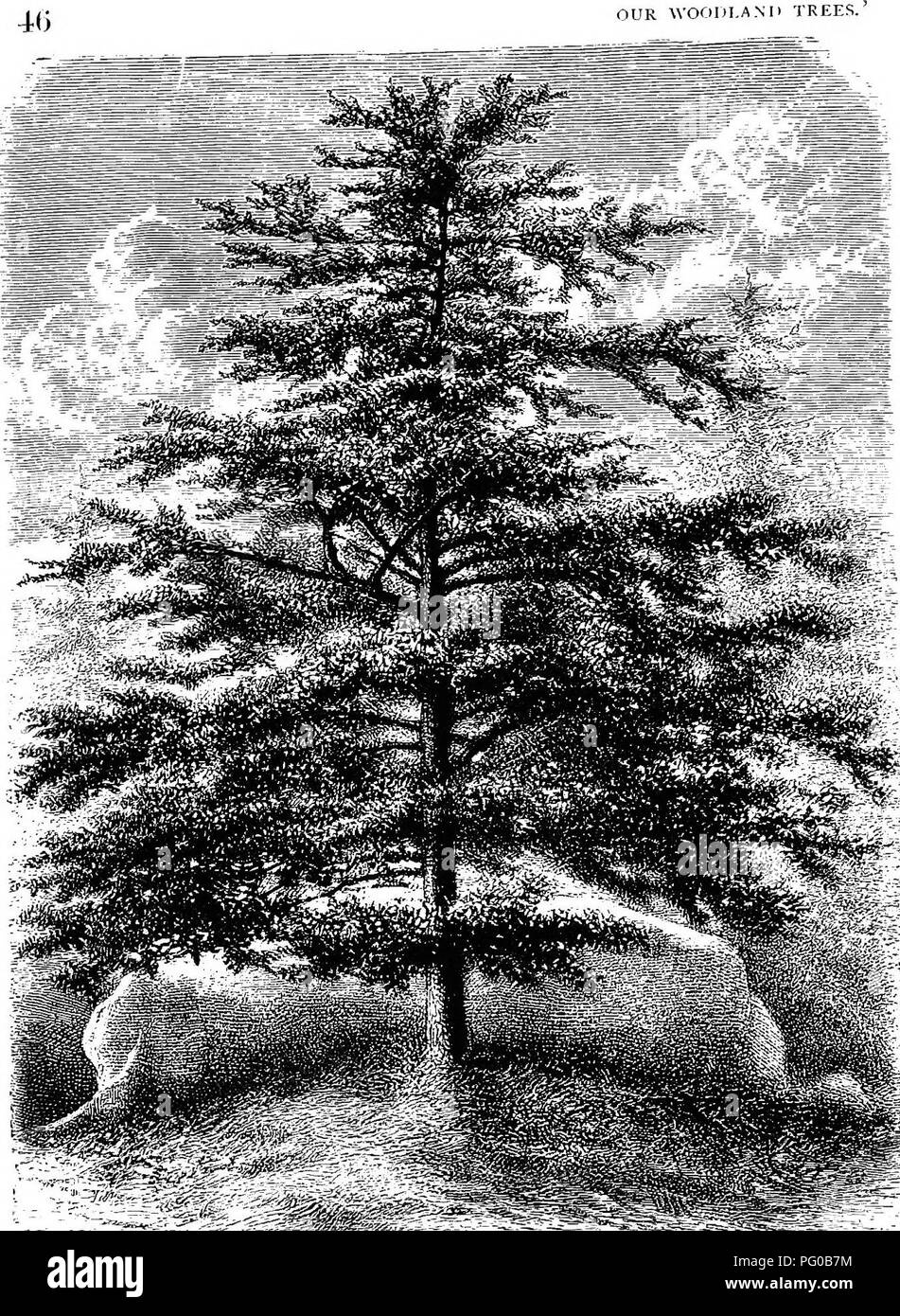 George Searle High Resolution Stock Photography and Images - Alamy