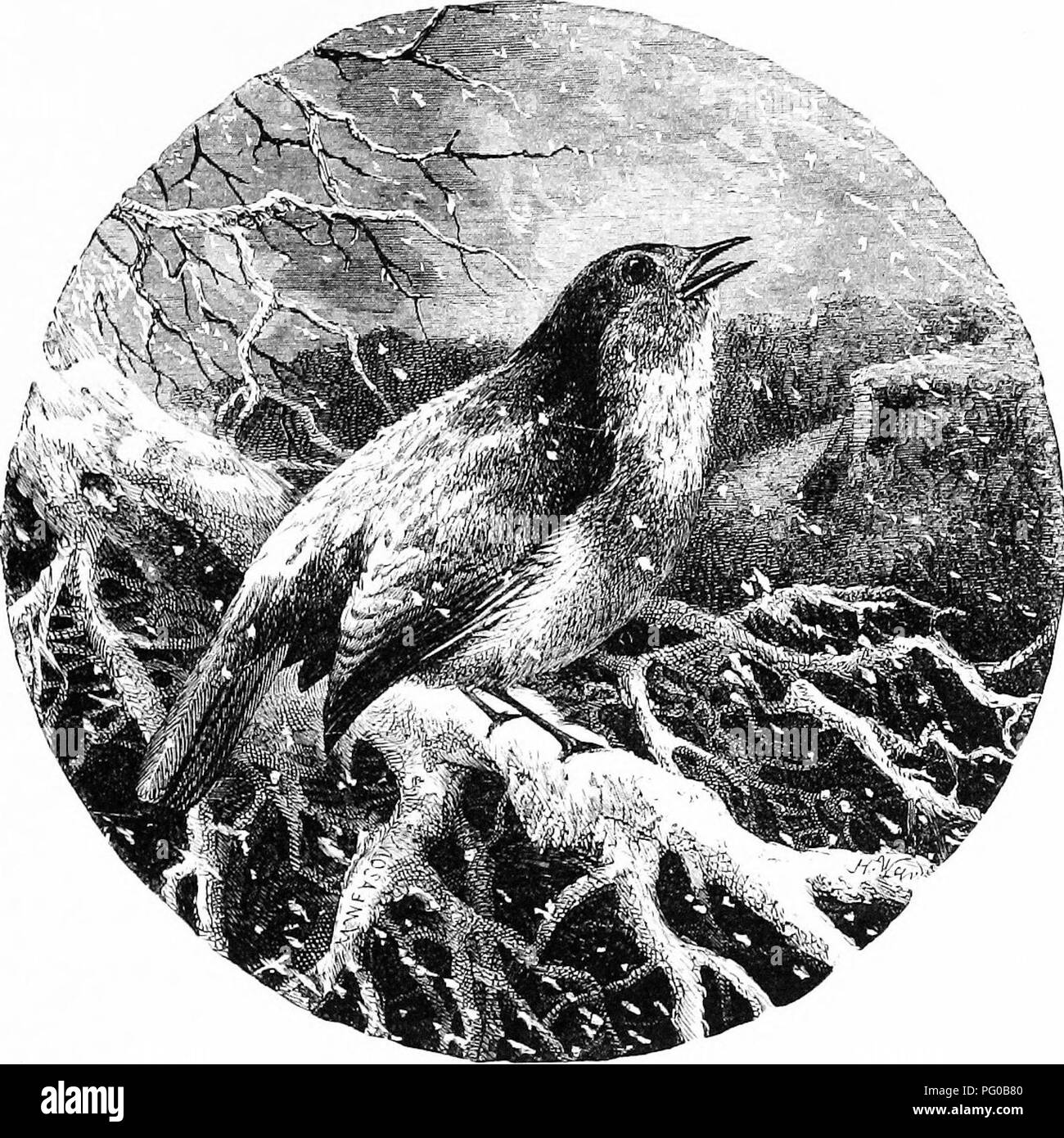 George searle hi-res stock photography and images - Alamy