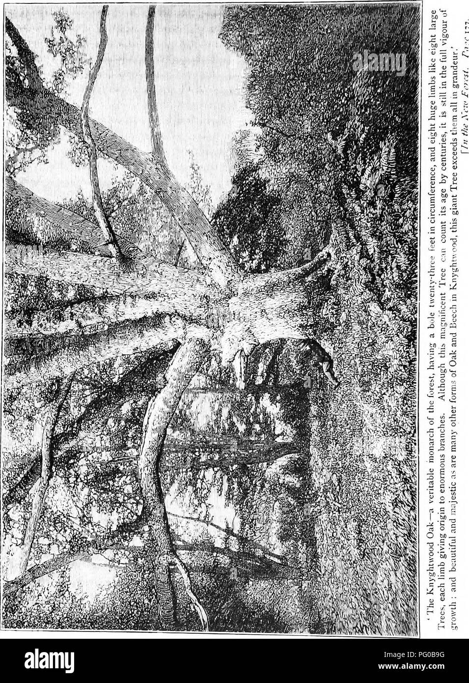 George searle hi-res stock photography and images - Alamy