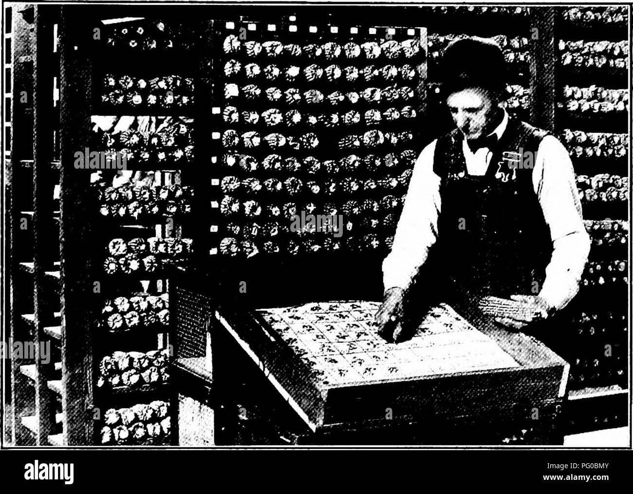 This agricultural guide covers the cultivation and testing of maize ...