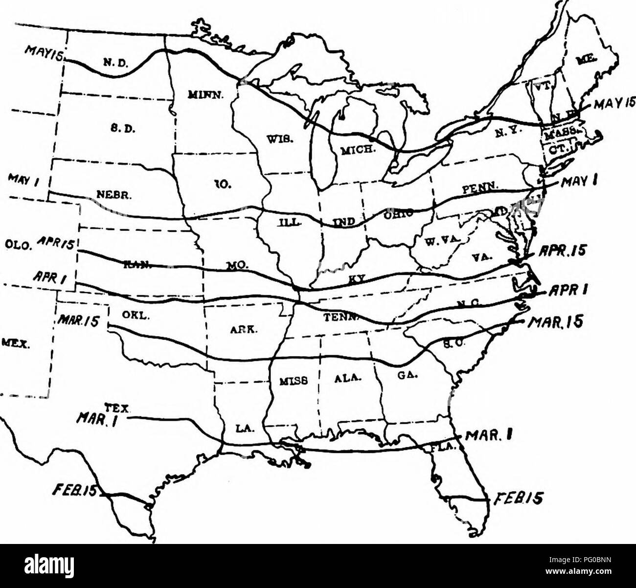 This text explores the cultivation of maize, kafir corn, and sorghum in ...