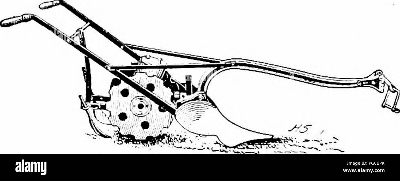 A comprehensive overview of corn crops in North America, including ...