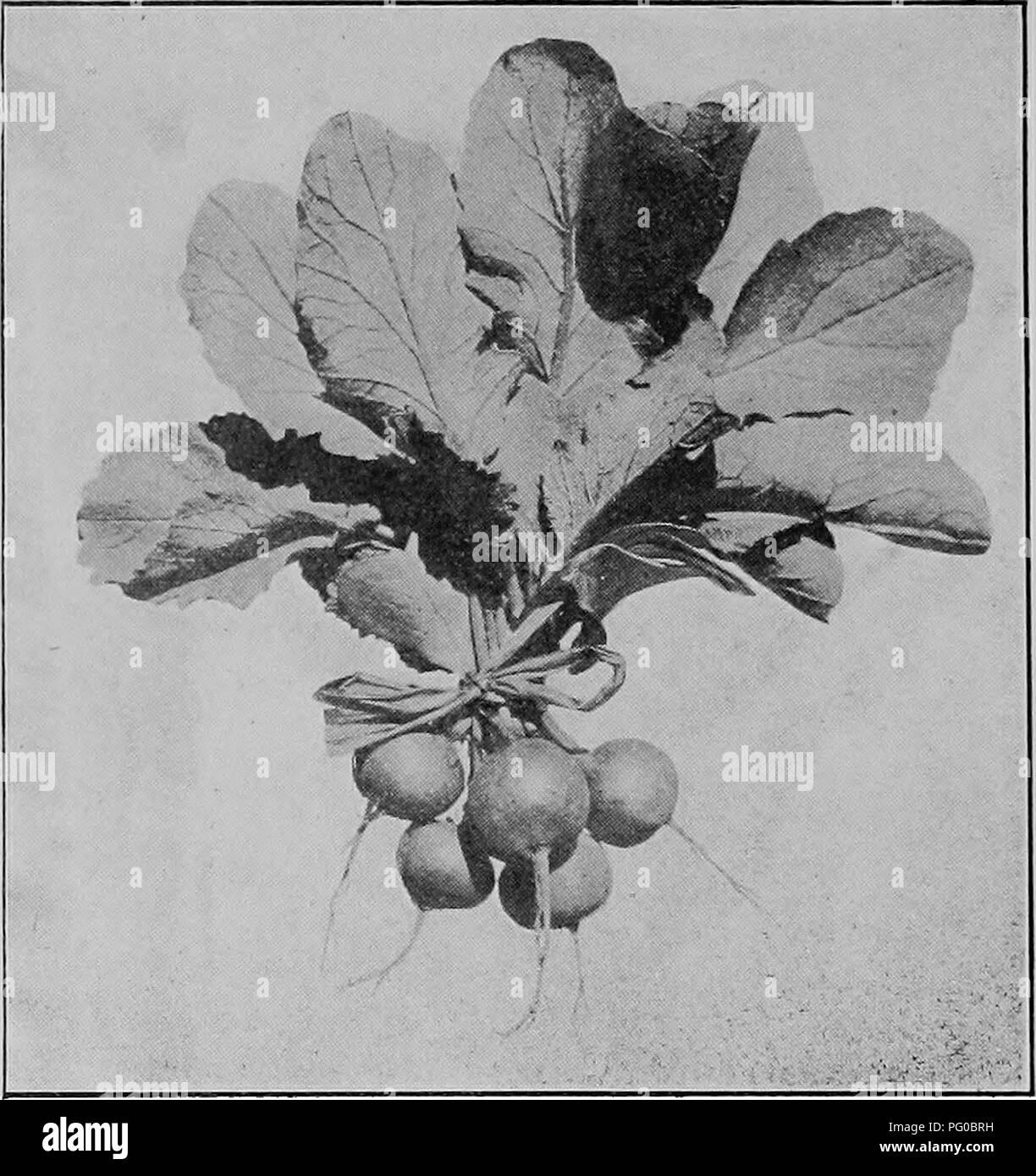 George beets hi-res stock photography and images - Alamy