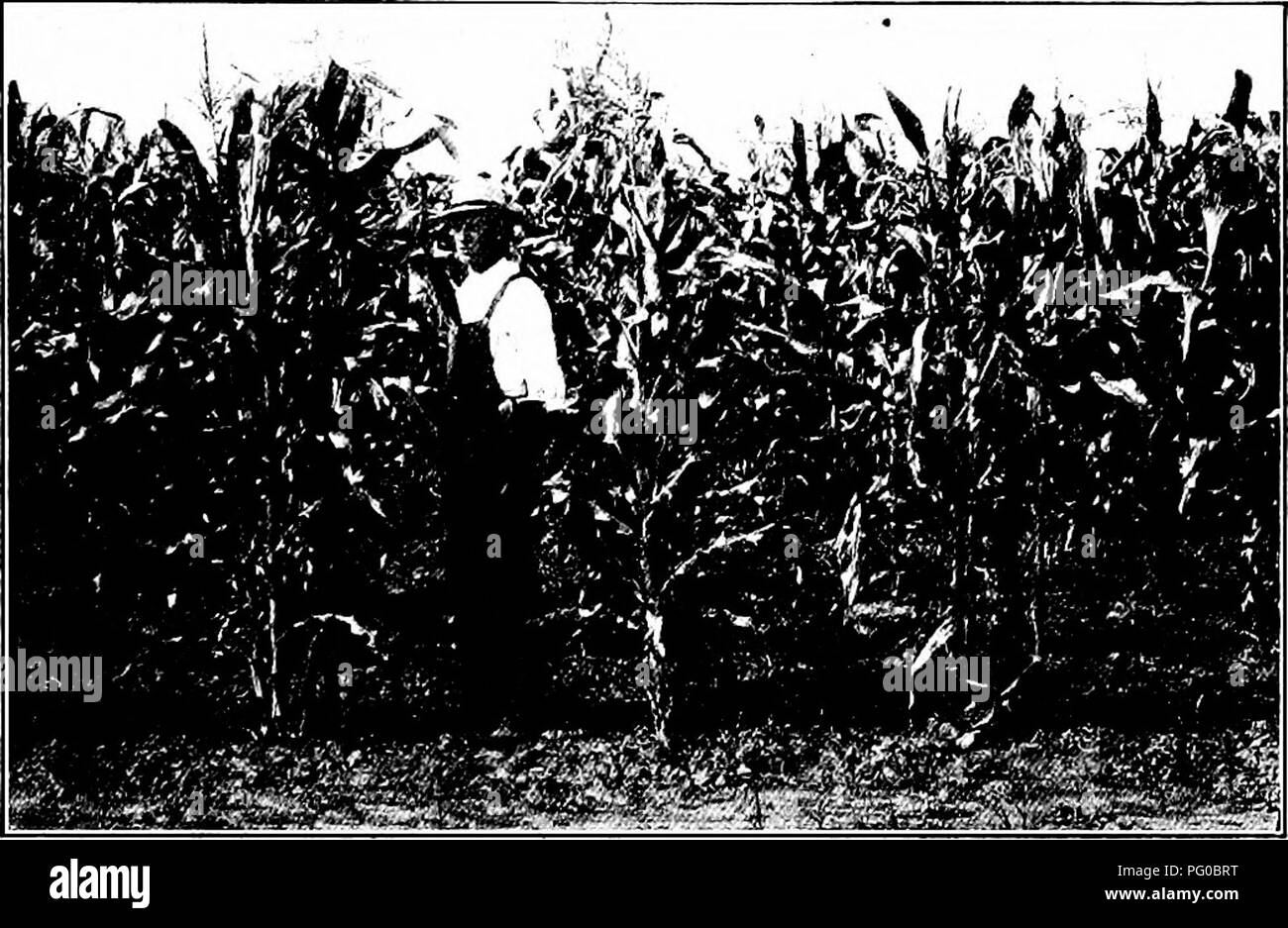 This image focuses on the agricultural practices and research related ...