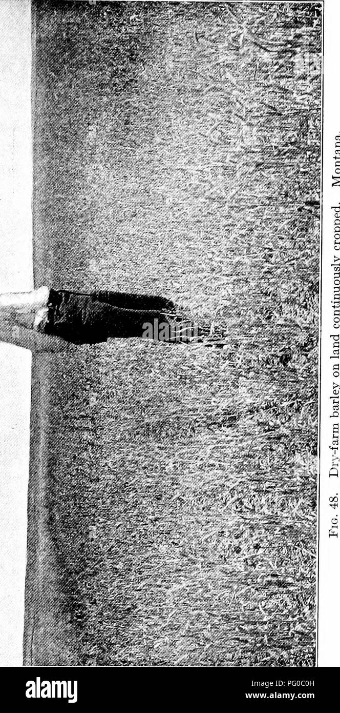 This image illustrates dry-farming techniques used in regions with low ...