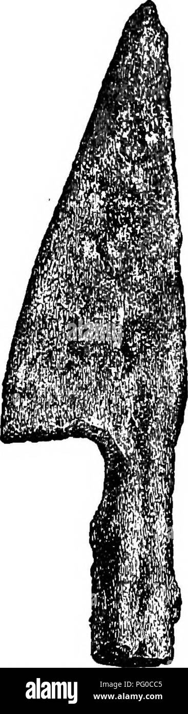 Buff scales hi-res stock photography and images - Alamy