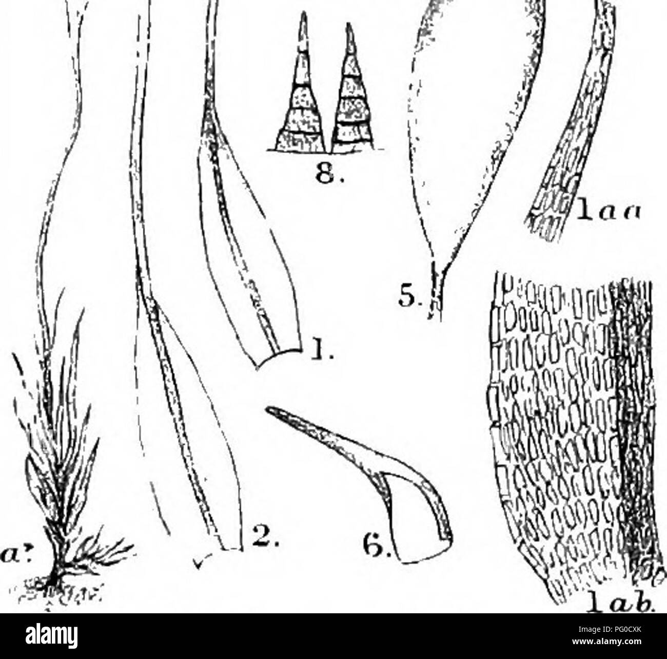 This work provides a comprehensive guide to the identification and ...