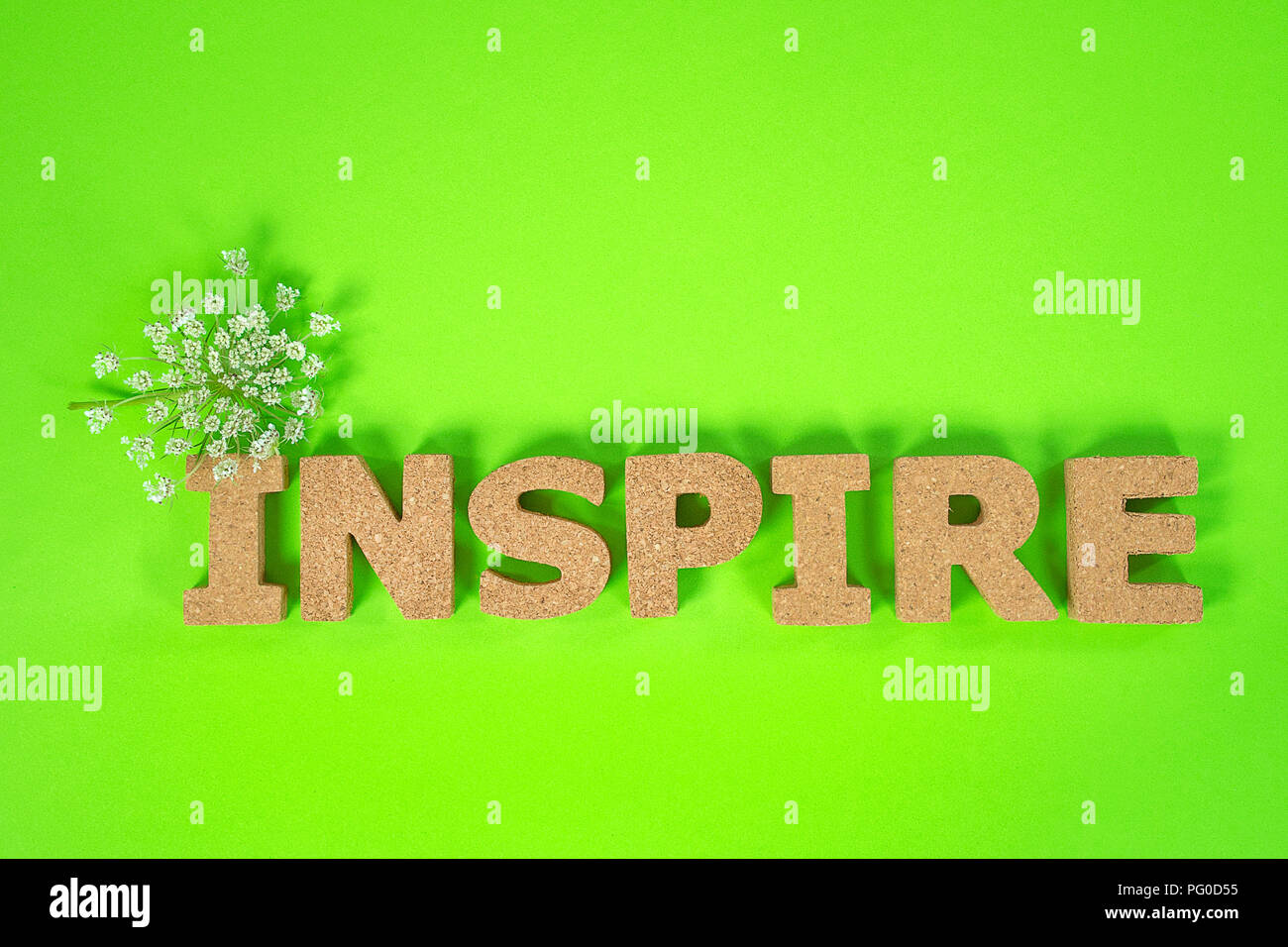 word inspire with Queen Anne's Lace on neon green background Stock ...