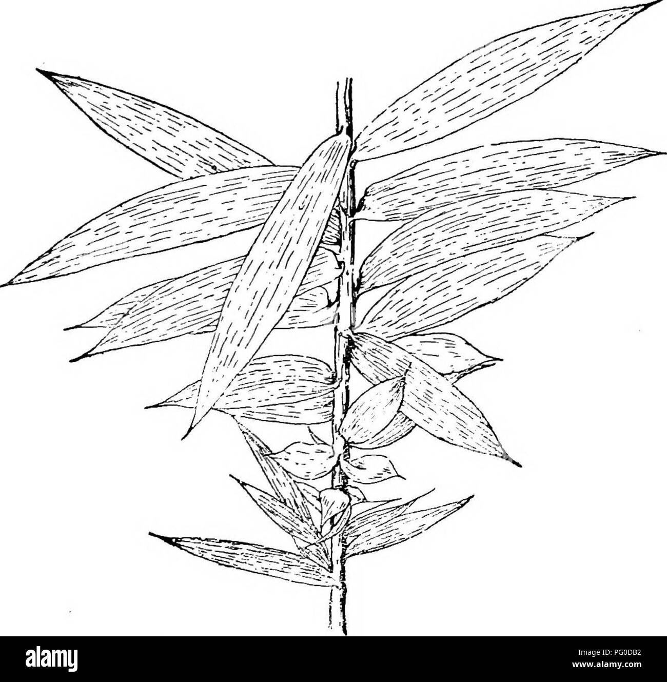 145 mm hi-res stock photography and images - Alamy