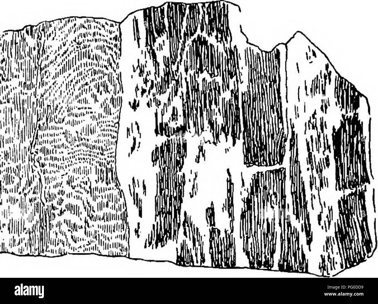 Cork formation Black and White Stock Photos & Images - Alamy