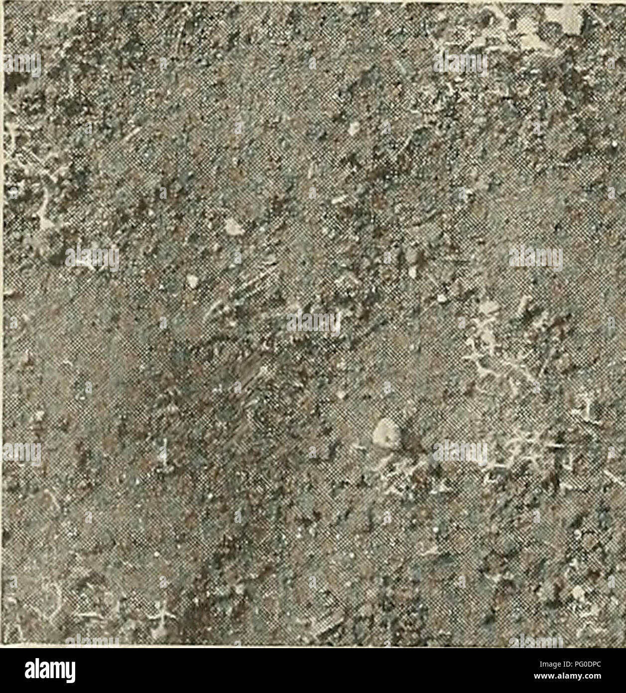 Gangrena humeda hi-res stock photography and images - Alamy