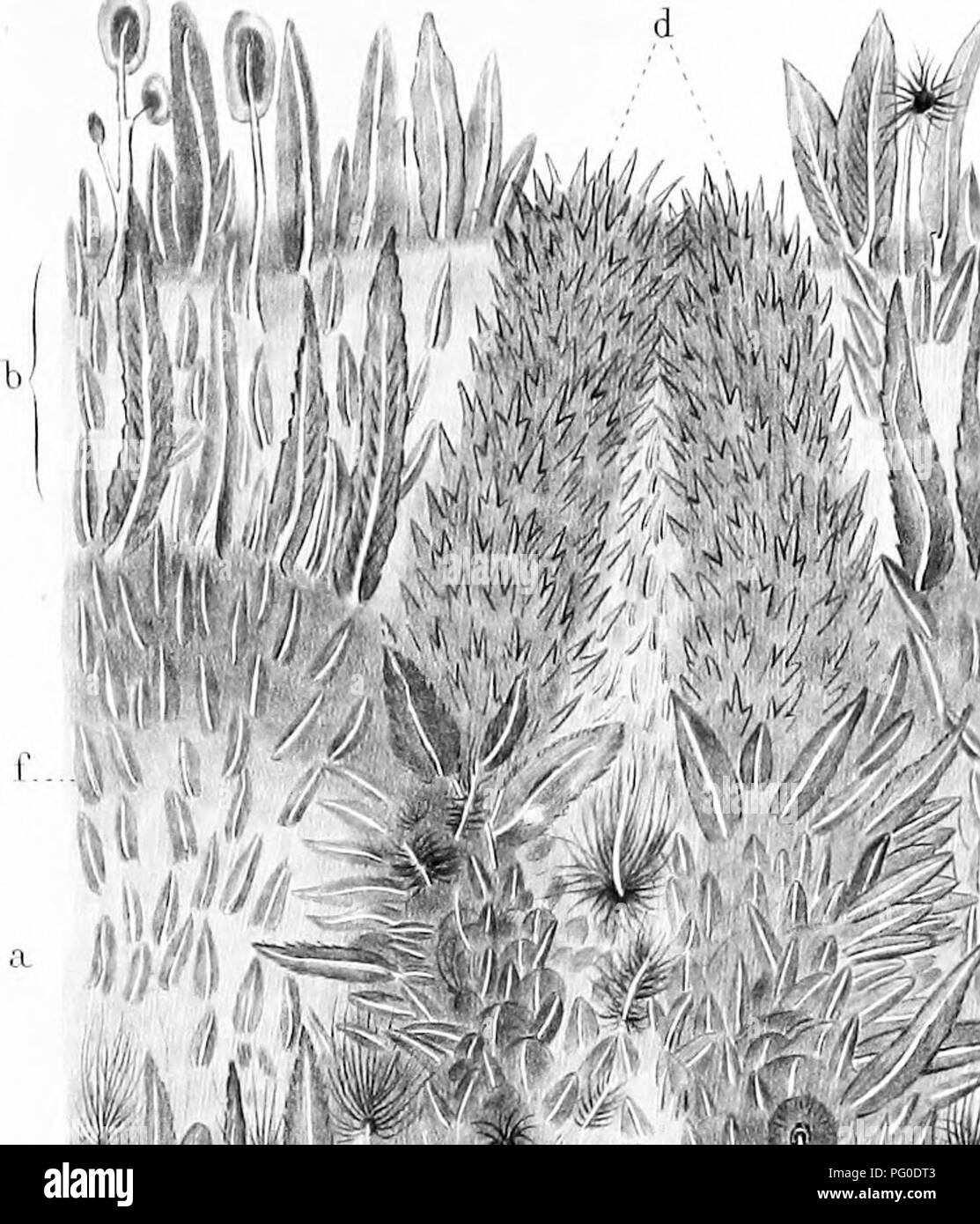 This work explores the fascinating relationships between parasites and ...