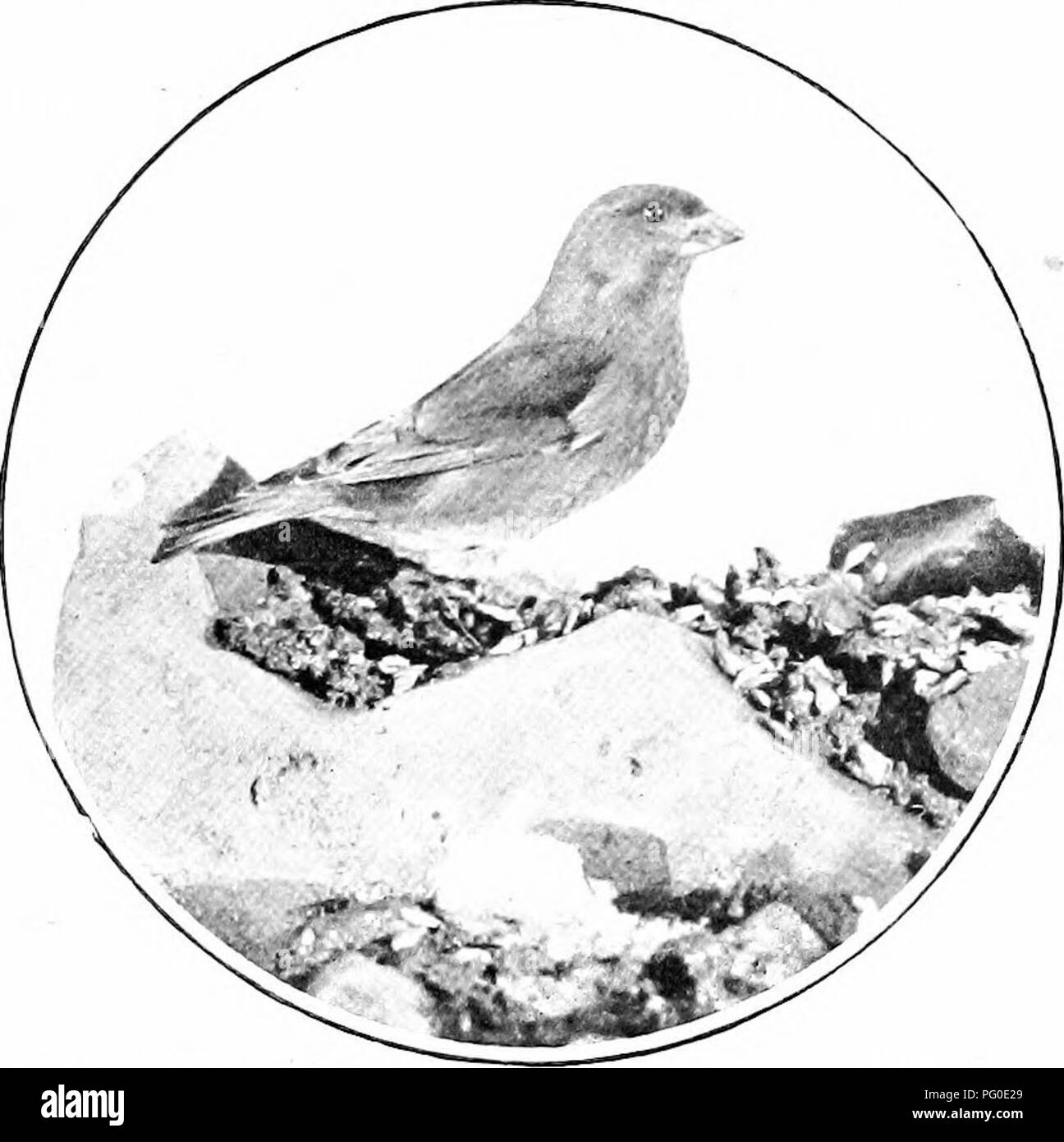 Hudson commons hi-res stock photography and images - Alamy