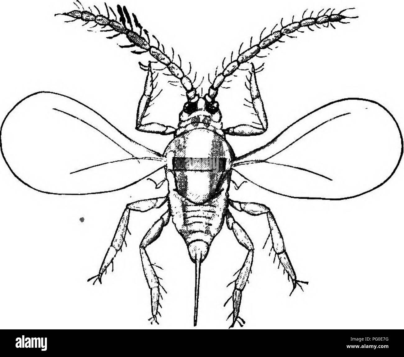 This work provides advice on managing insect pests and plant diseases ...