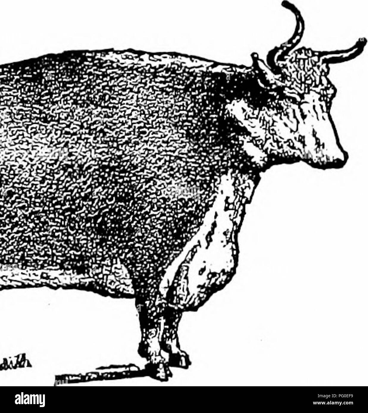 This historical record details the development and significance of the ...