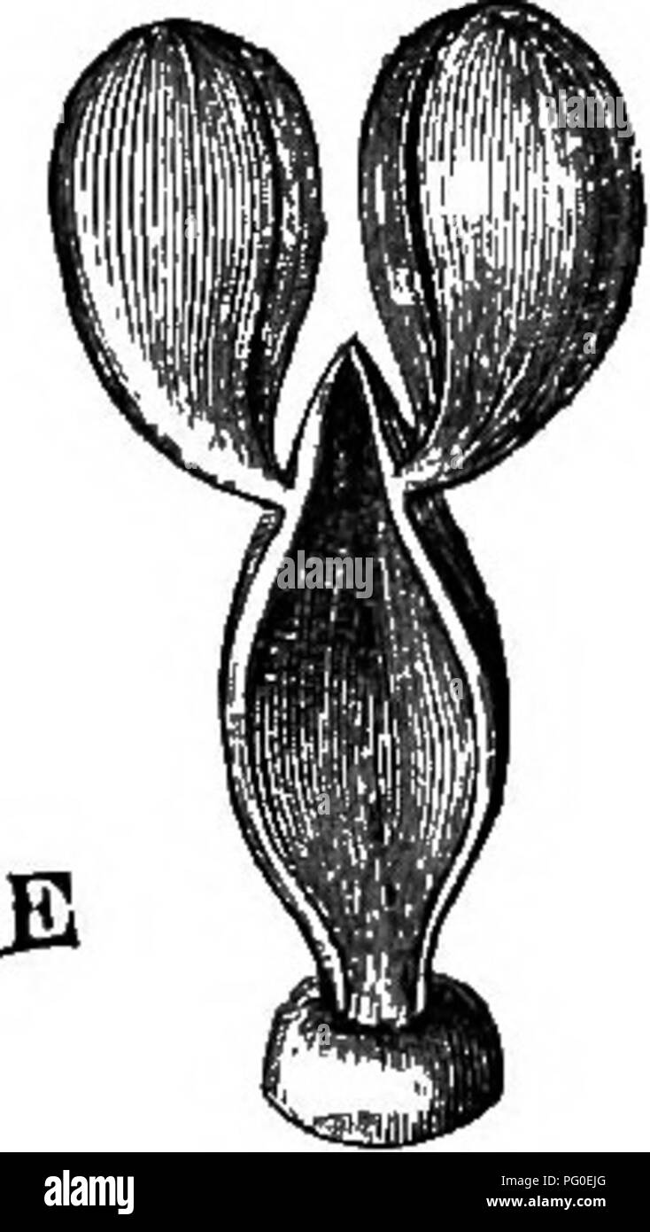 Stigmatic surface hi-res stock photography and images - Alamy