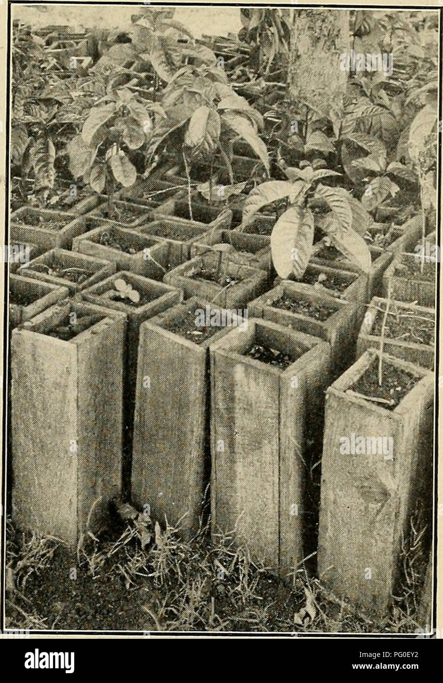 This publication discusses the management of agricultural pests like ...