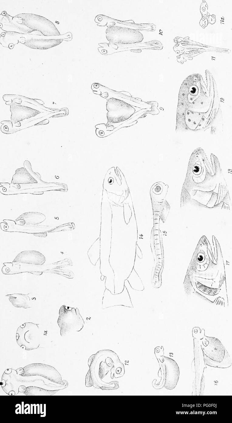 L h o o q Black and White Stock Photos & Images - Alamy