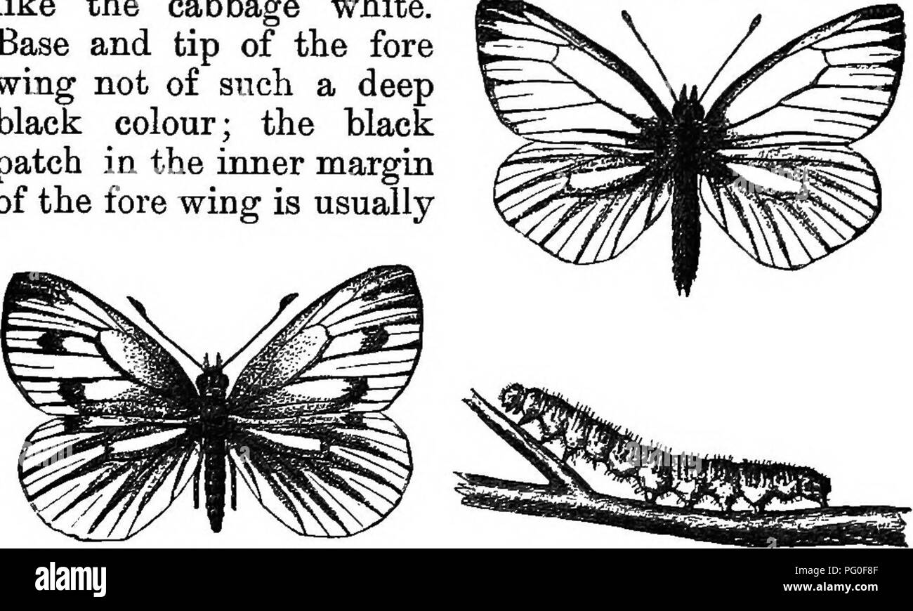 Little pillars Black and White Stock Photos & Images - Alamy