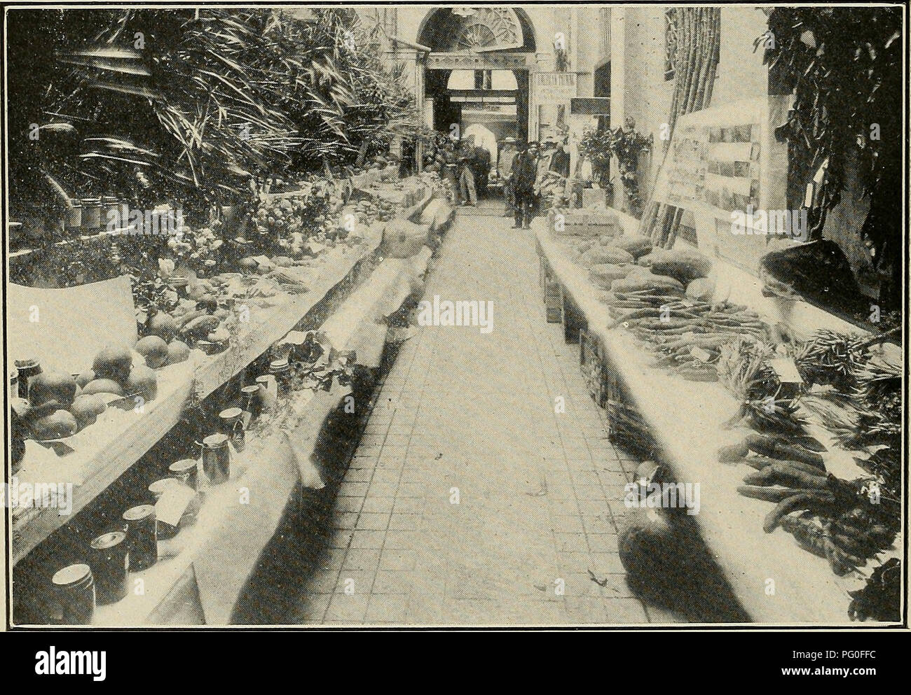 Quiebra hacha hi-res stock photography and images - Alamy